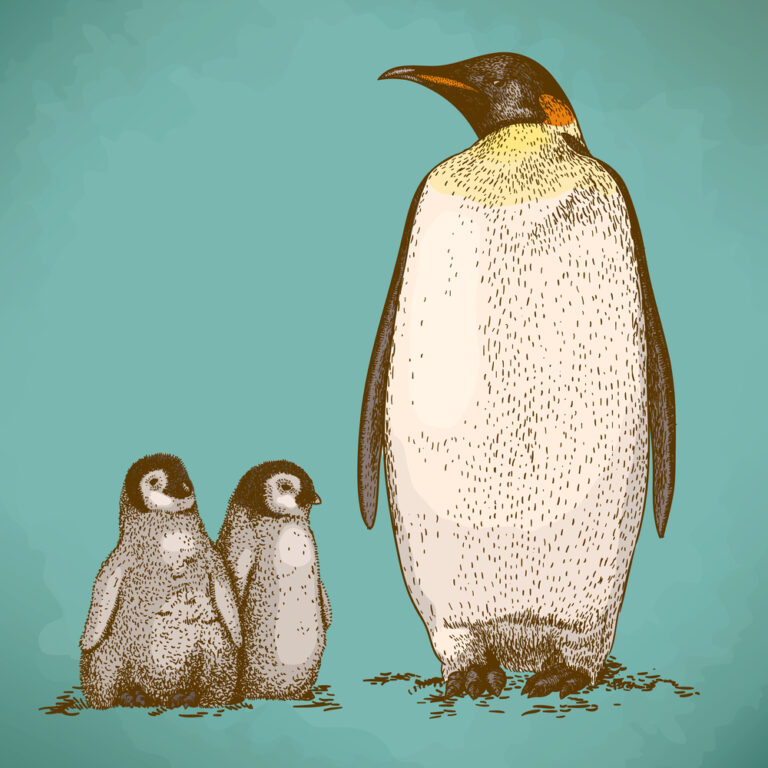 7 Most Beautiful Extinct Animals to Ever Live - Cute Animal Planet