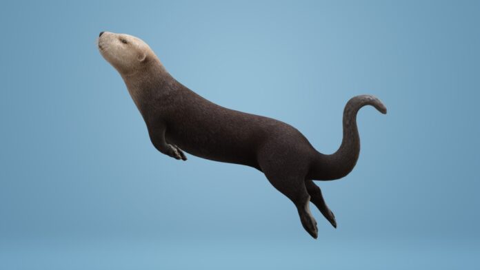 7 Most Beautiful Extinct Animals to Ever Live - Cute Animal Planet