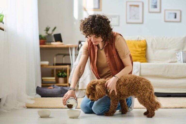 Pet Sitter 101: 6 Ways to Find an Amazing Sitter - Cute Animal Planet